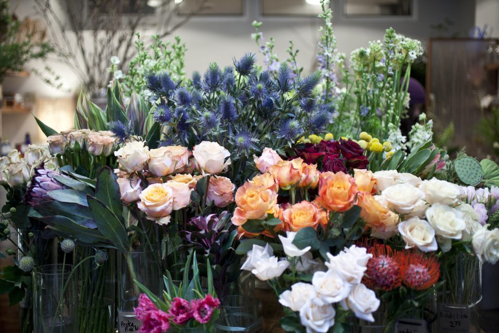 19+ Awe-inspiring Flowers That Start With J With Pictures